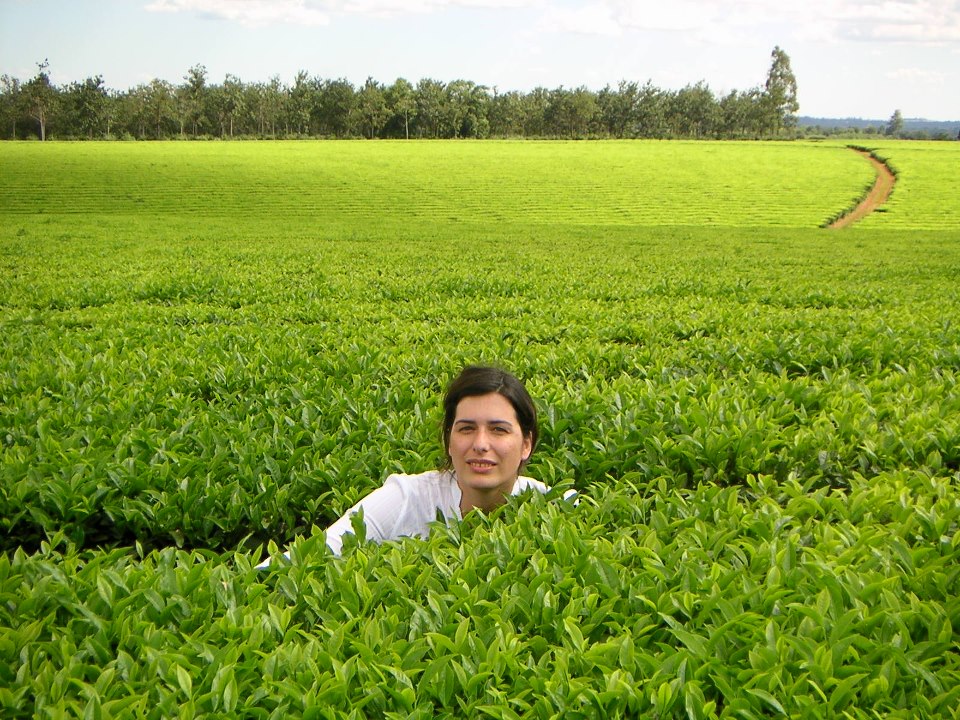Tealosophy by Inés Bertón, de la planta a la taza | BellezaPura
