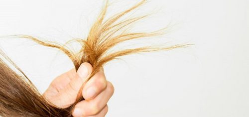 7 Champús para pelo dañado | BellezaPura